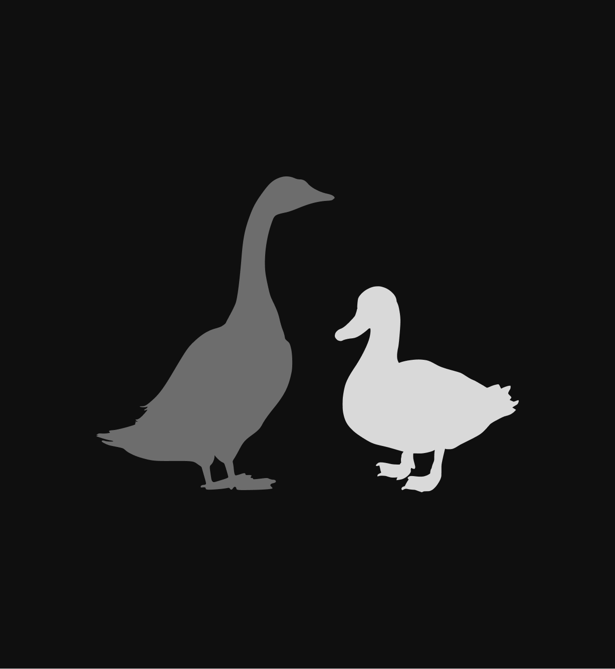 The Cluster – Allied Feather + Down