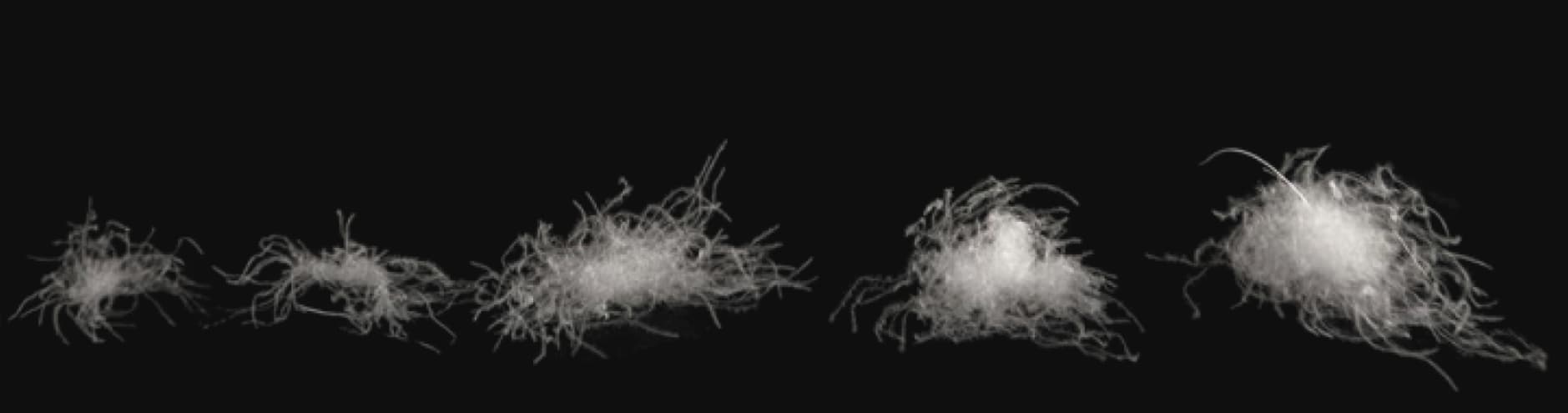 The Cluster – Allied Feather + Down