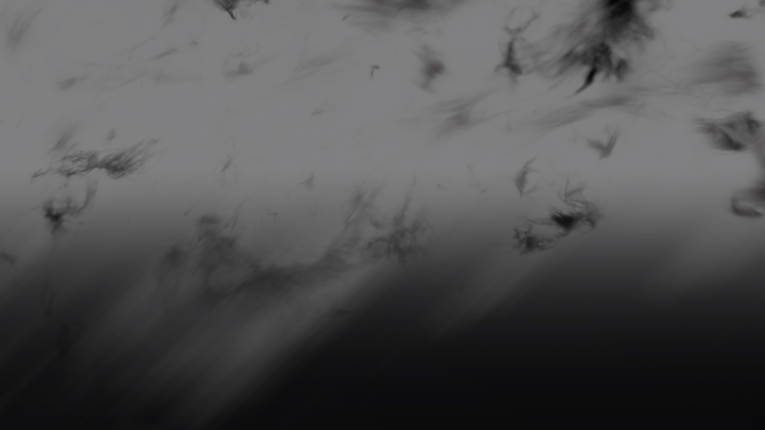 Allied Feather + Down – A F + D